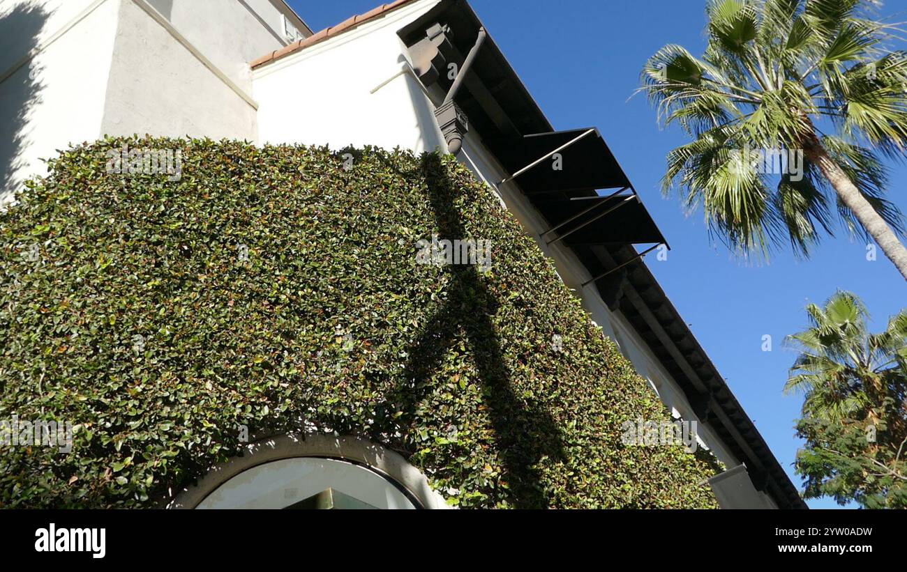 Beverly Hills, California, USA 7th December 2024 Actor Rex Allen Sr ...
