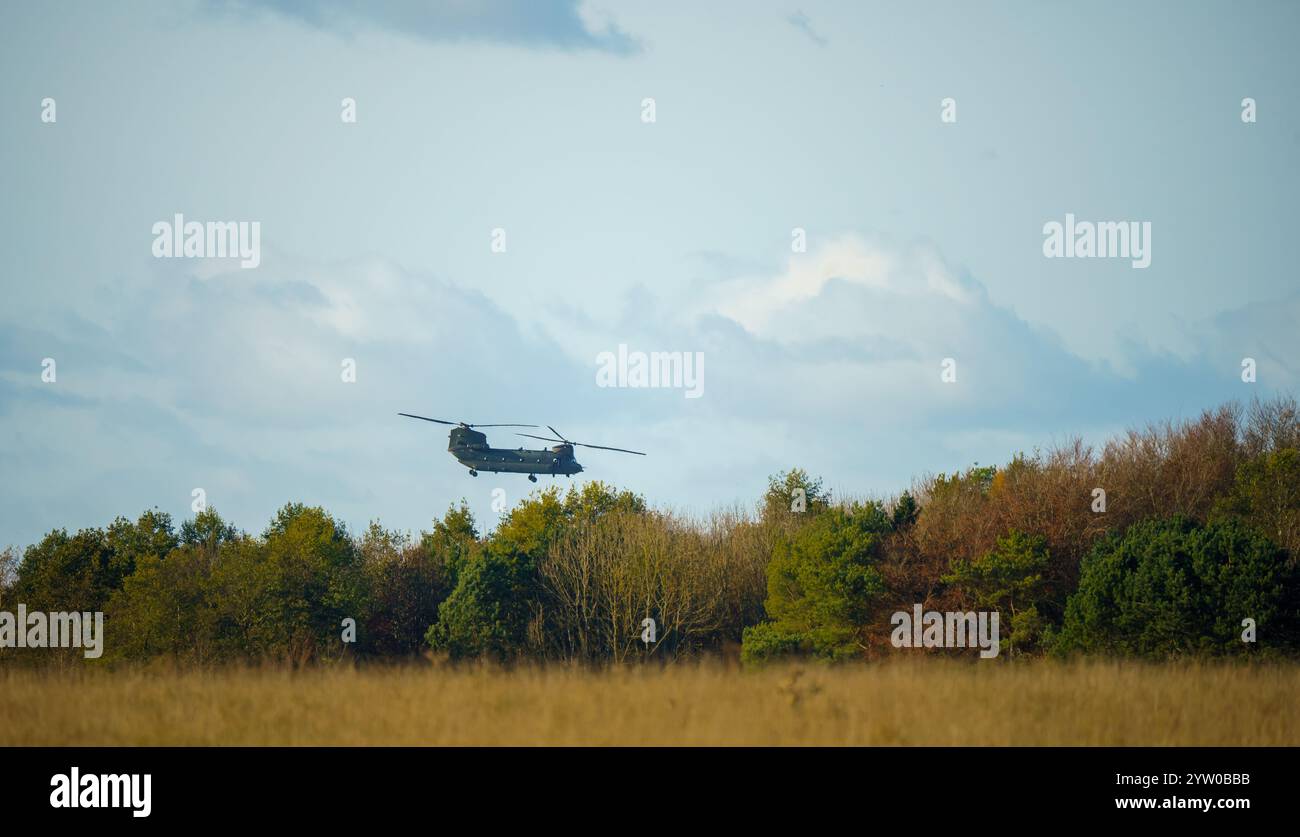 RAF Chinook tandem-rotor helicopter flying fast and low on a military ...