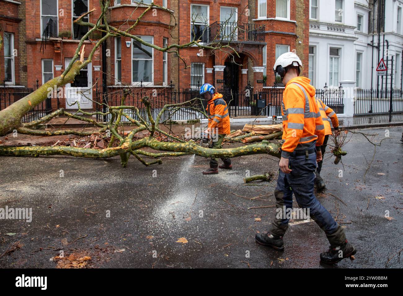 London, UK. 08th Dec, 2024. Tree surgeons cut up a fallen tree with a ...