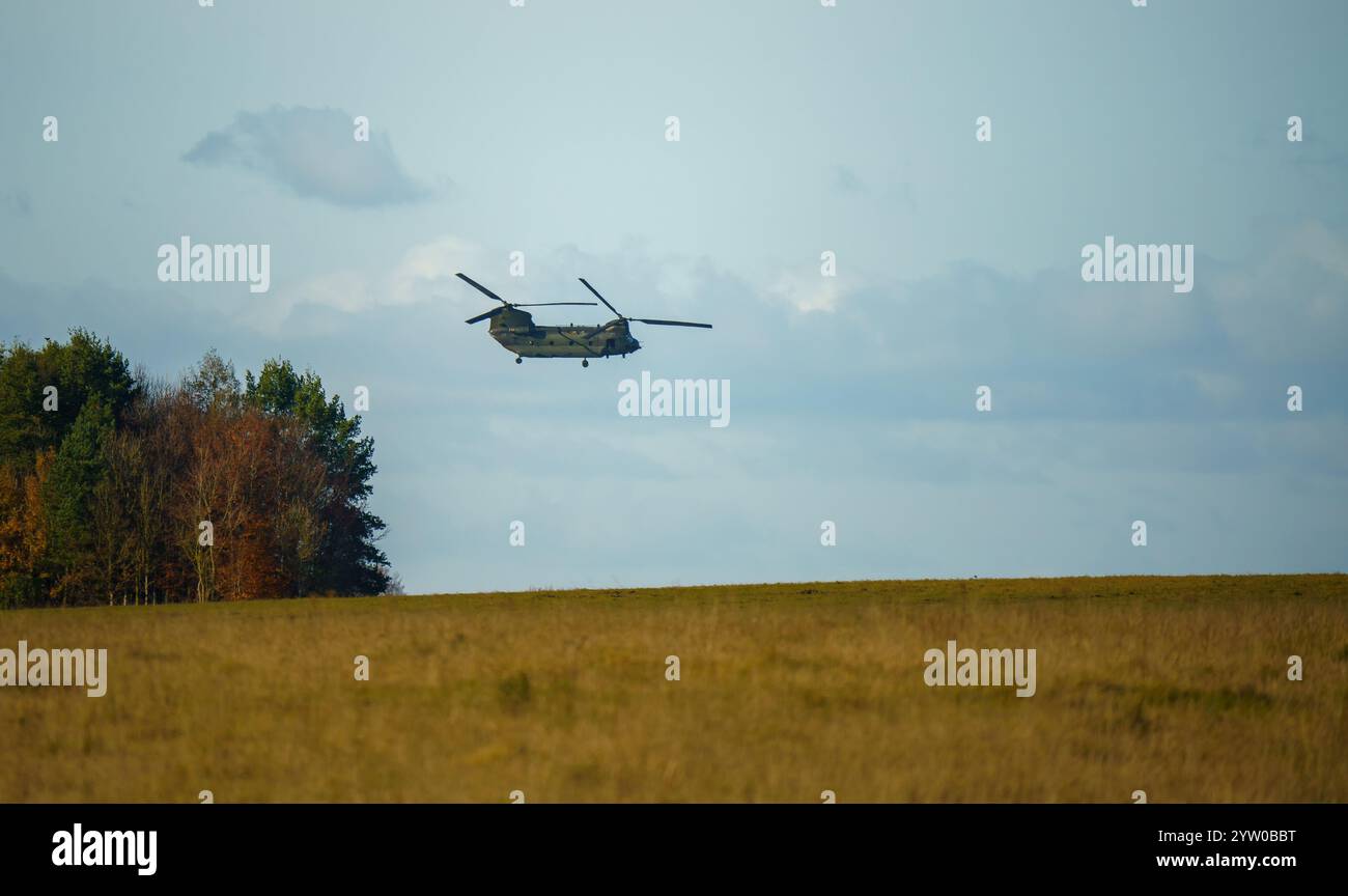 RAF Chinook tandem-rotor helicopter flying fast and low on a military ...
