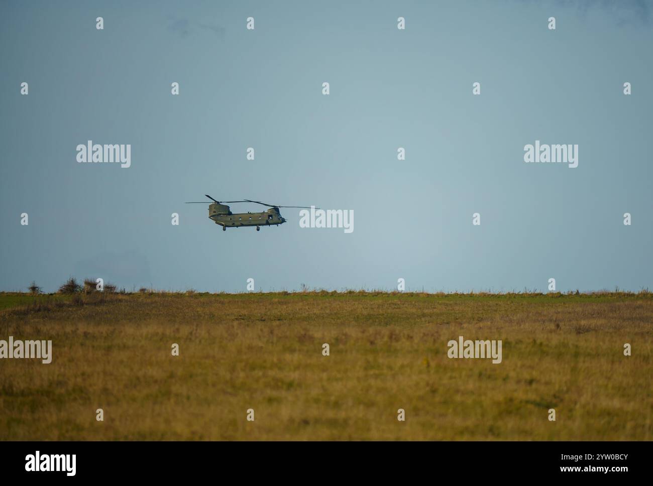 RAF Chinook tandem-rotor helicopter flying fast and low on a military ...