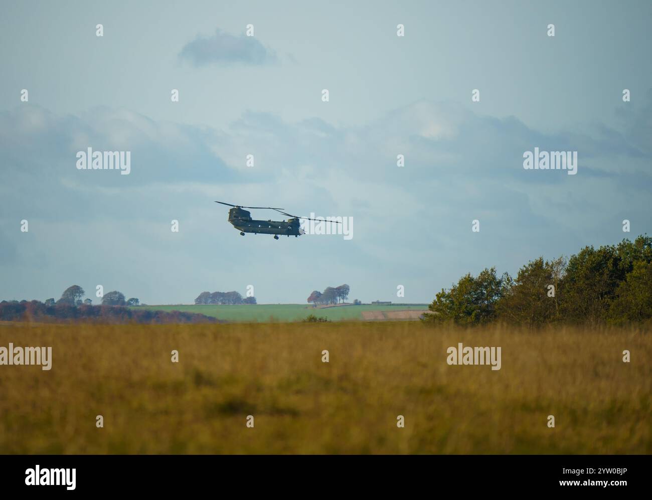 RAF Chinook tandem-rotor helicopter flying fast and low on a military ...