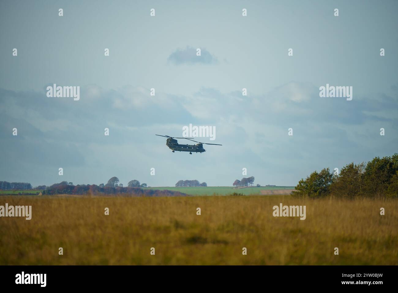 RAF Chinook tandem-rotor helicopter flying fast and low on a military ...