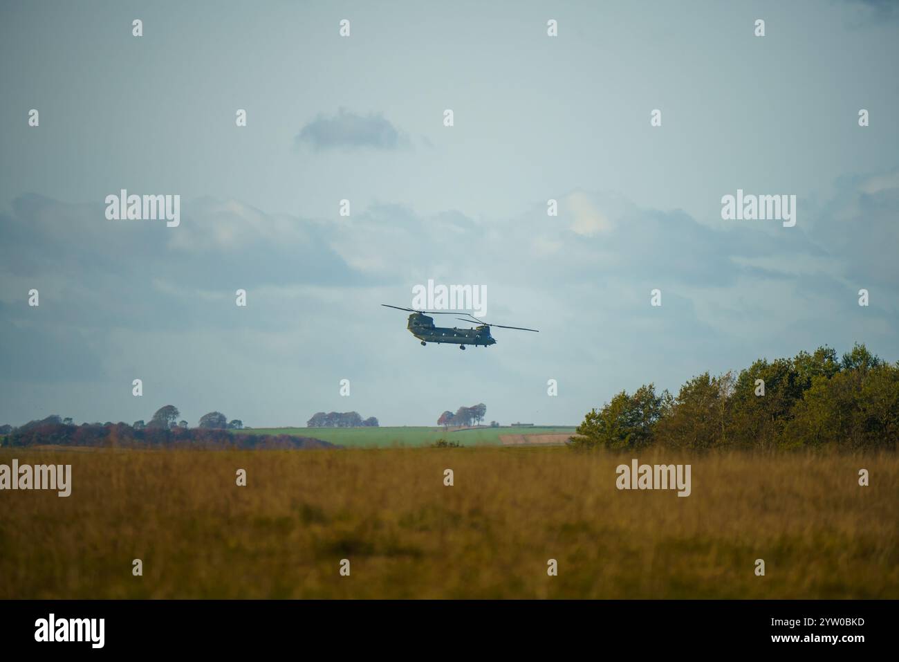 RAF Chinook tandem-rotor helicopter flying fast and low on a military ...
