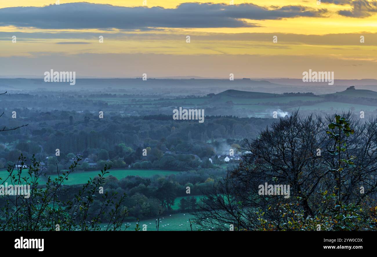 Moss vale park hi-res stock photography and images - Alamy