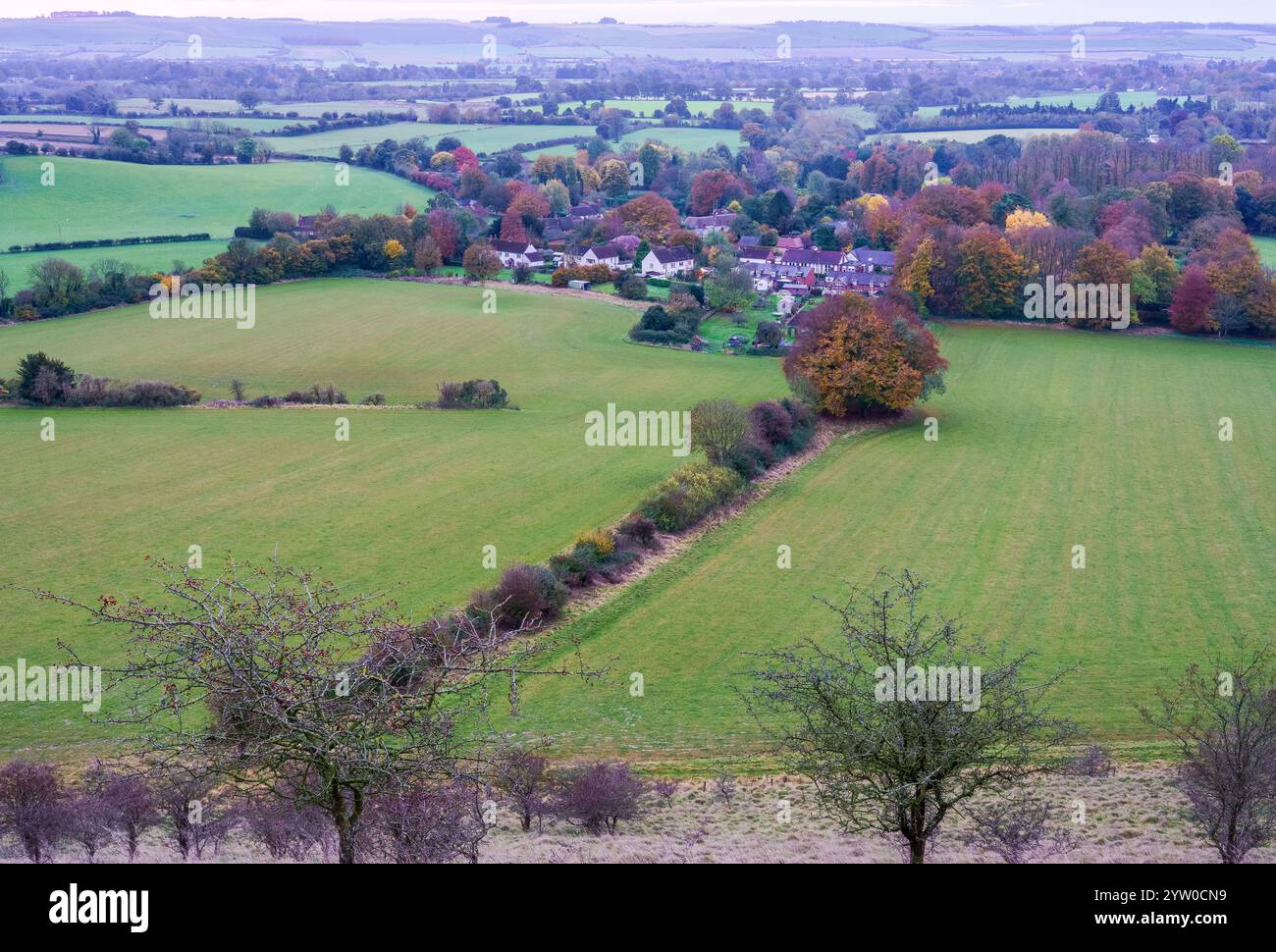 beautiful sunrise scenery over wiltshire countryside with meadows ...