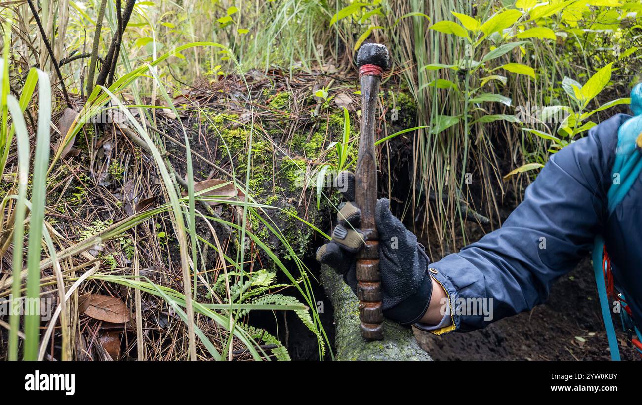 A person is engaged in an exploration activity in a lush jungle ...
