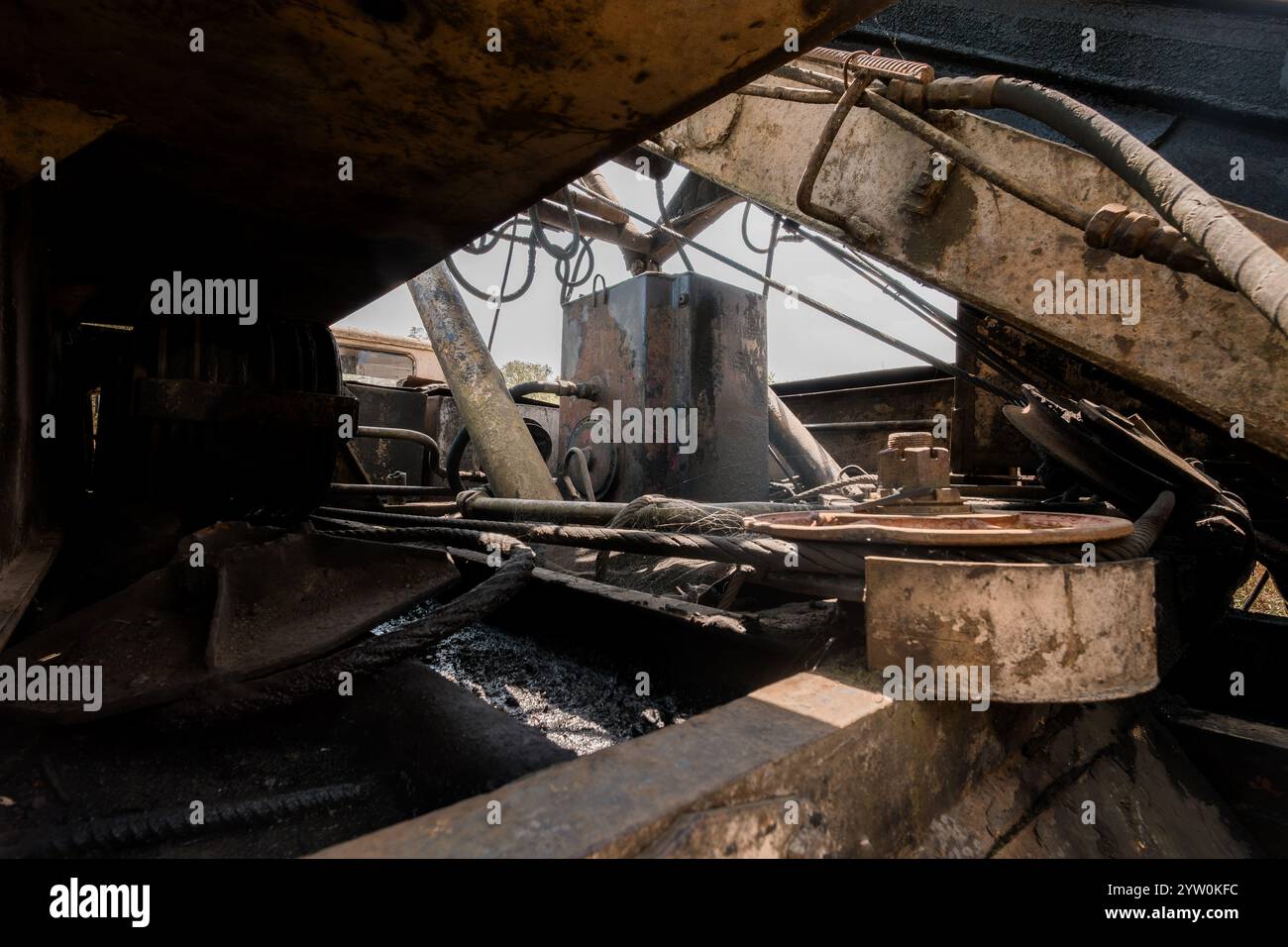 Intricate line work of hi-res stock photography and images - Alamy