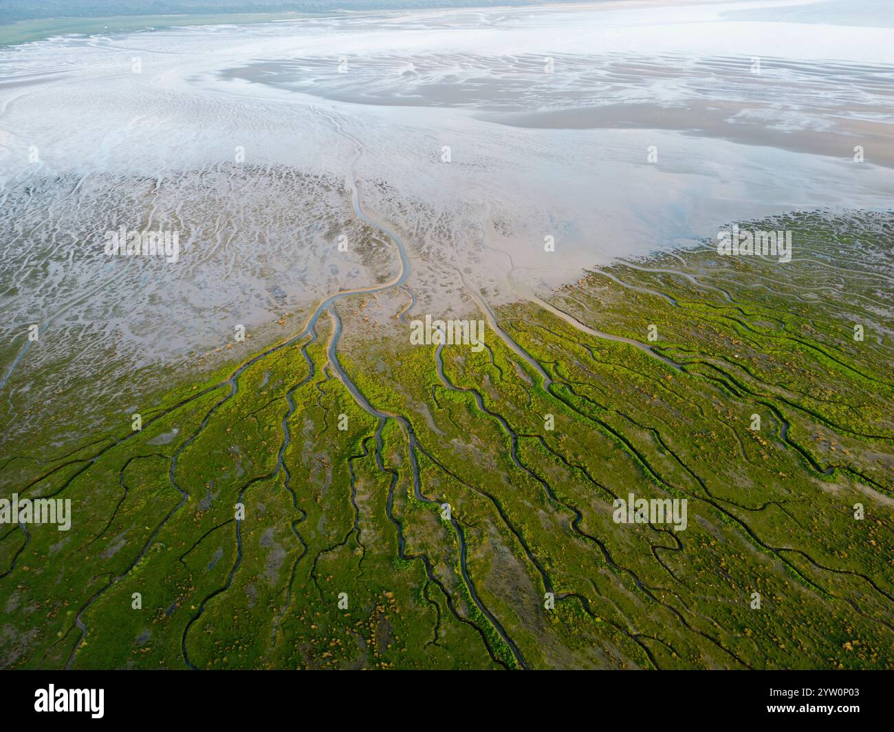 Aerial view of the tidal streams of the Slurfter, Rotterdam, The ...