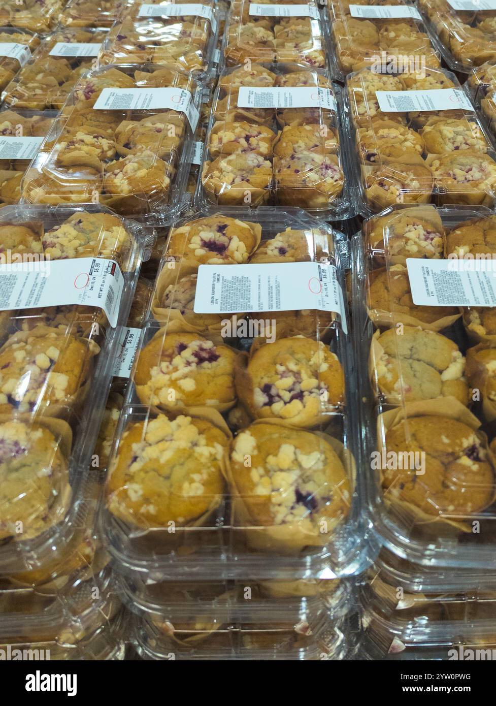 Los Angeles, CA - December 8 2024: muffins on display at Costco ...