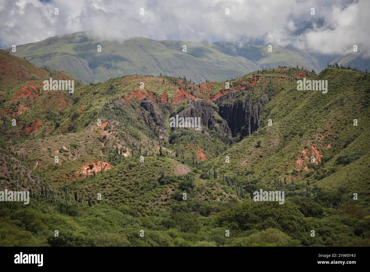 Los Cardones national park in the province of Salta in Argentinian ...