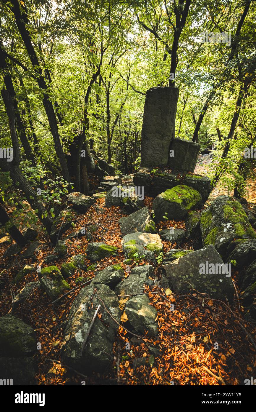 Rock boulder surrounded woods hi-res stock photography and images - Alamy
