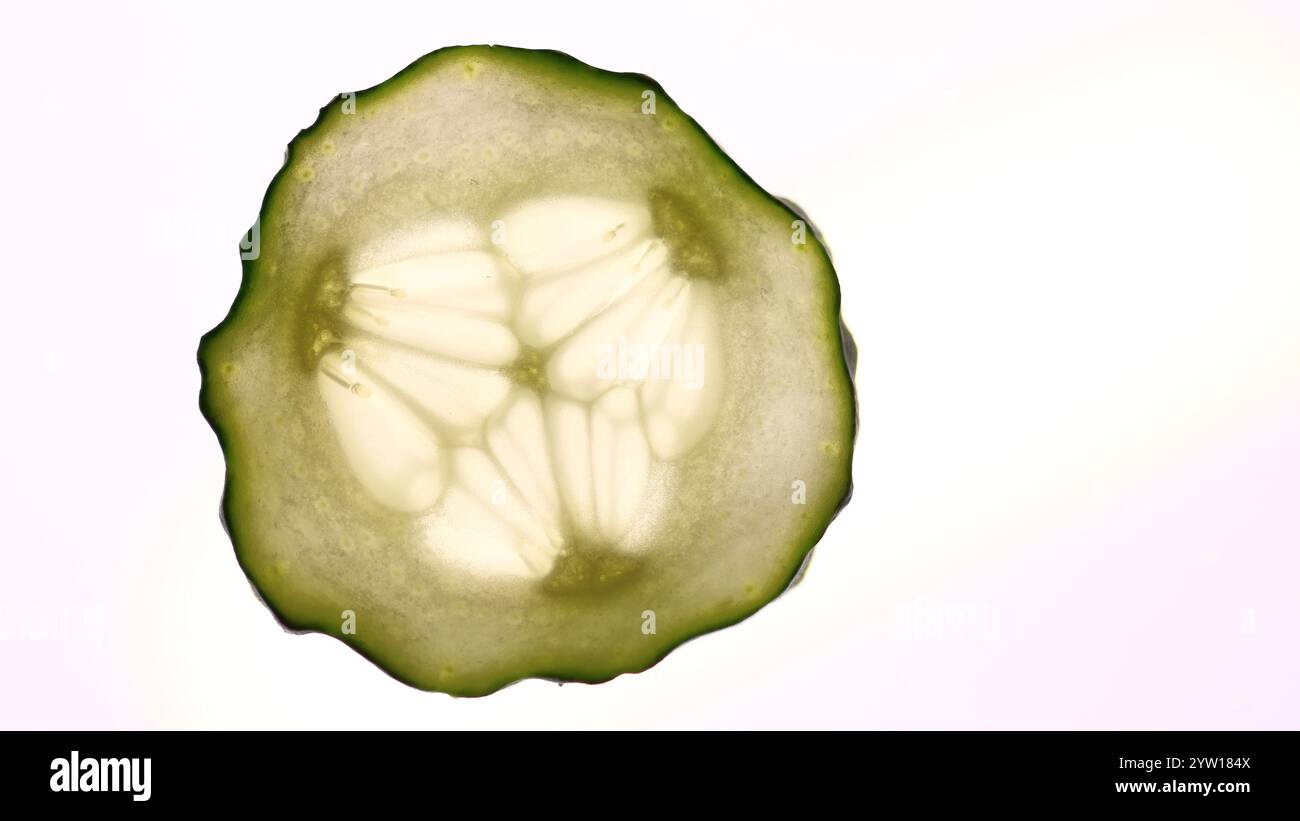 A slim slice of fresh cucumber on white background Stock Photo - Alamy