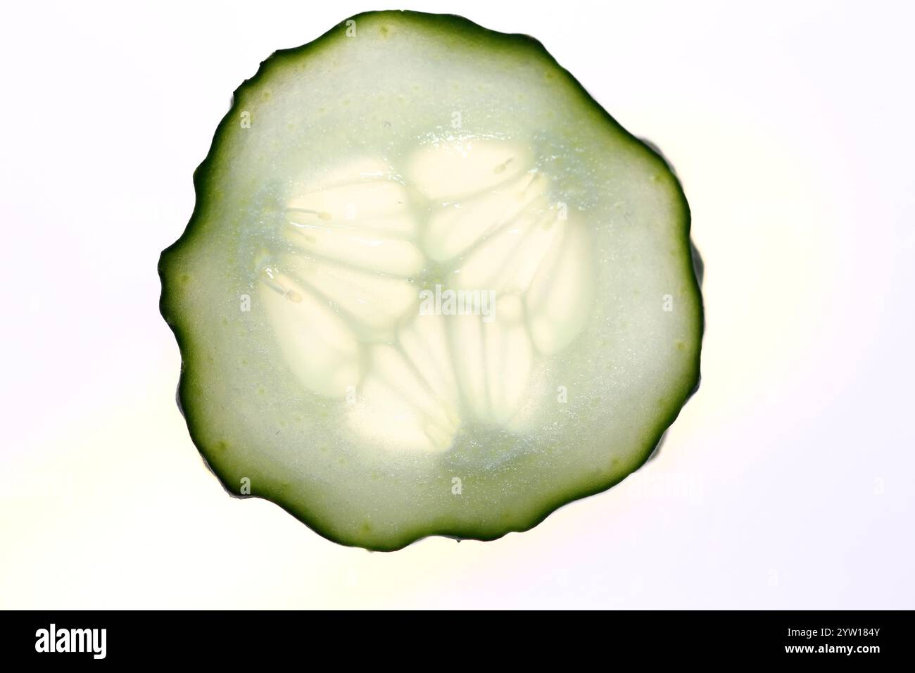 Slim slice fresh cucumber hi-res stock photography and images - Alamy