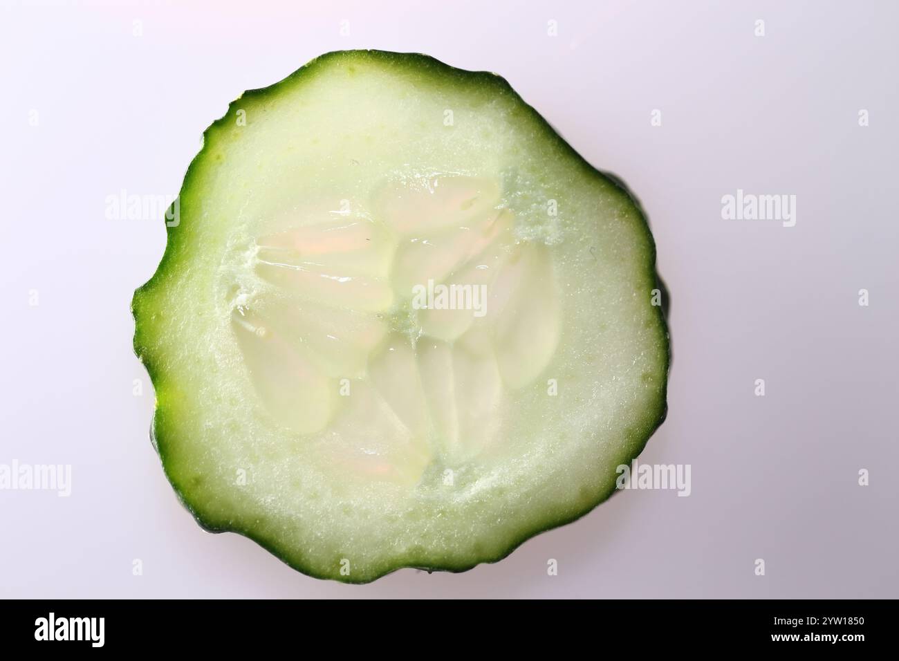 A slim slice of fresh cucumber on white background Stock Photo - Alamy