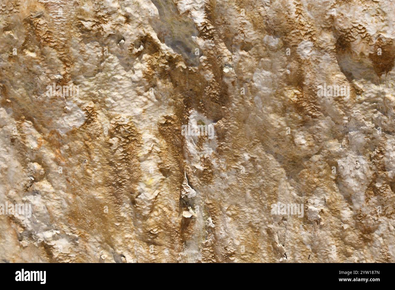 Detailed texture of eroded rocks in Pammukale, Turkey. Characteristic ...