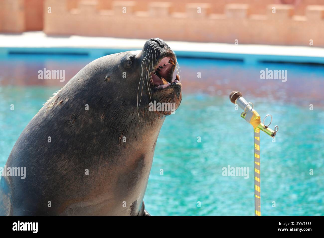 Performative behavior hi-res stock photography and images - Alamy