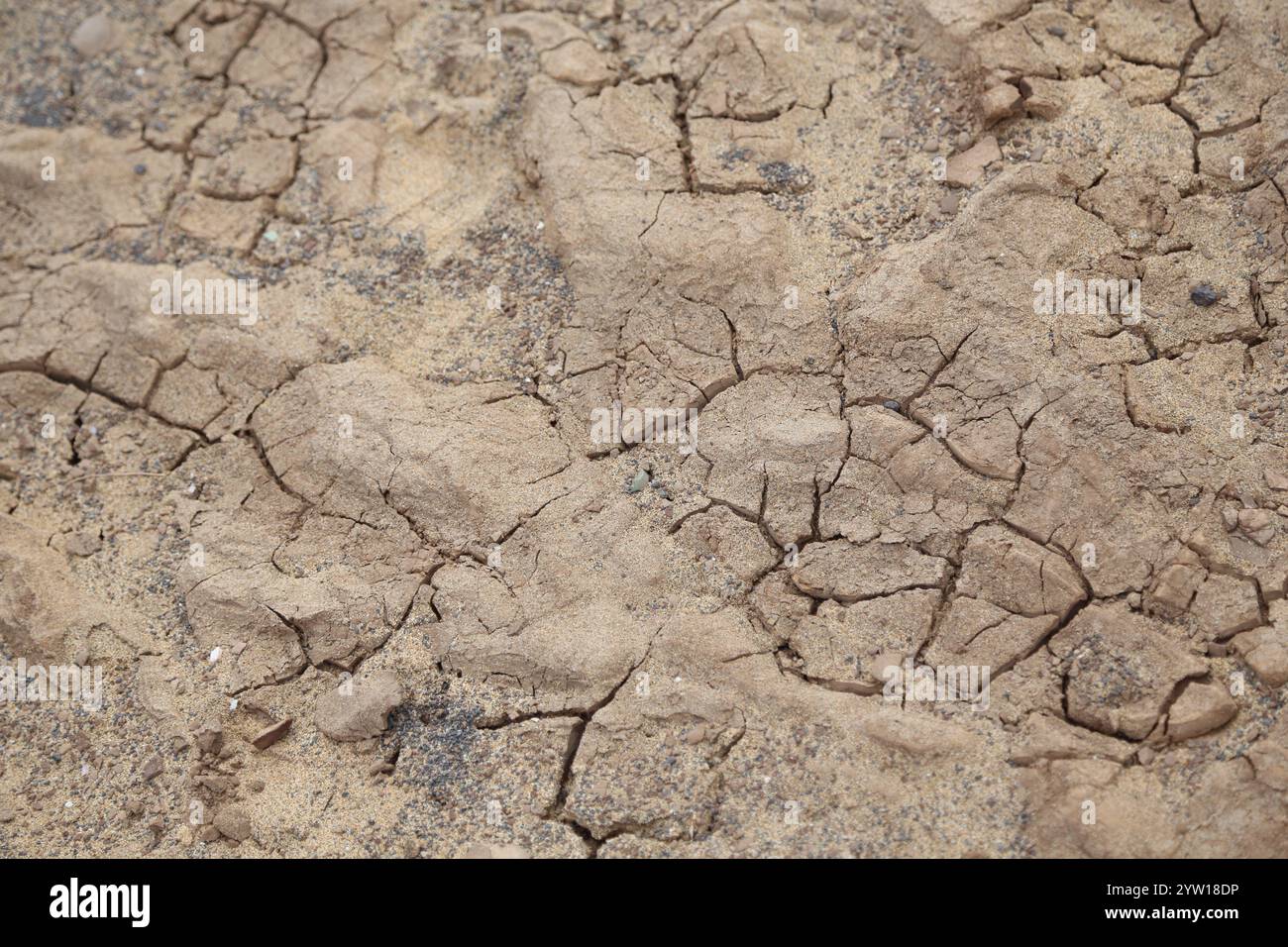 A close-up of dry, cracked earth, showing the texture of soil that has ...