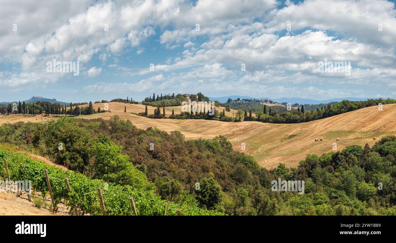 Beautiful landscape of Tuscany summer countryside in Italy. Two shots ...