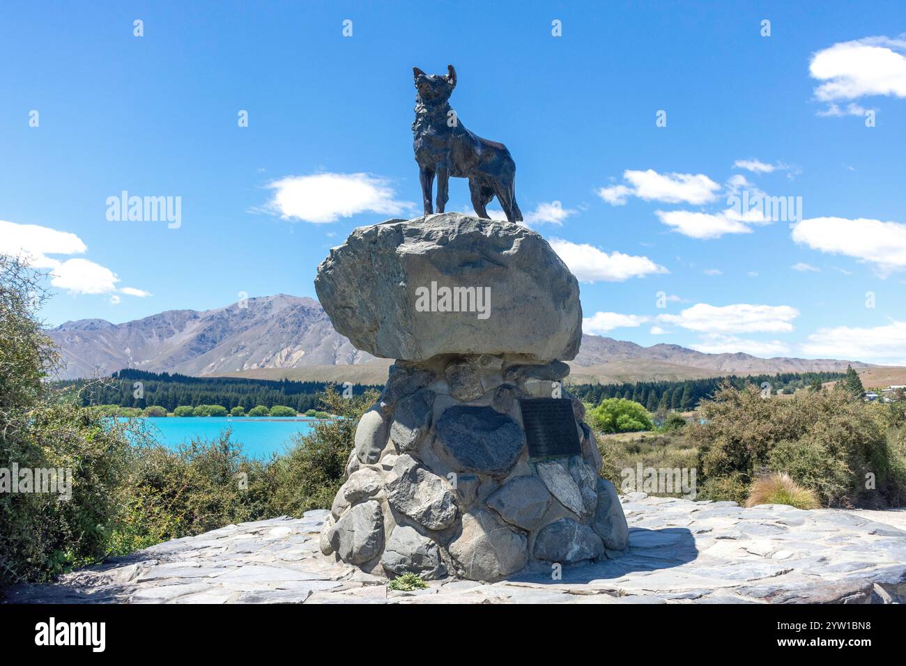 New Zealand Collie Sheepdog Memorial, Lake Tekapo (Takapō), Mackenzie ...
