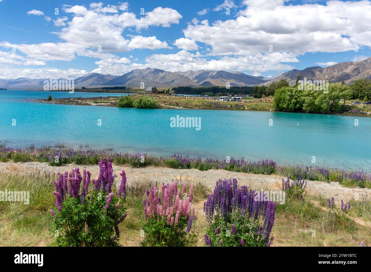 The church of the good shepherd historic stone heritage lupinus hi-res stock photography and ...