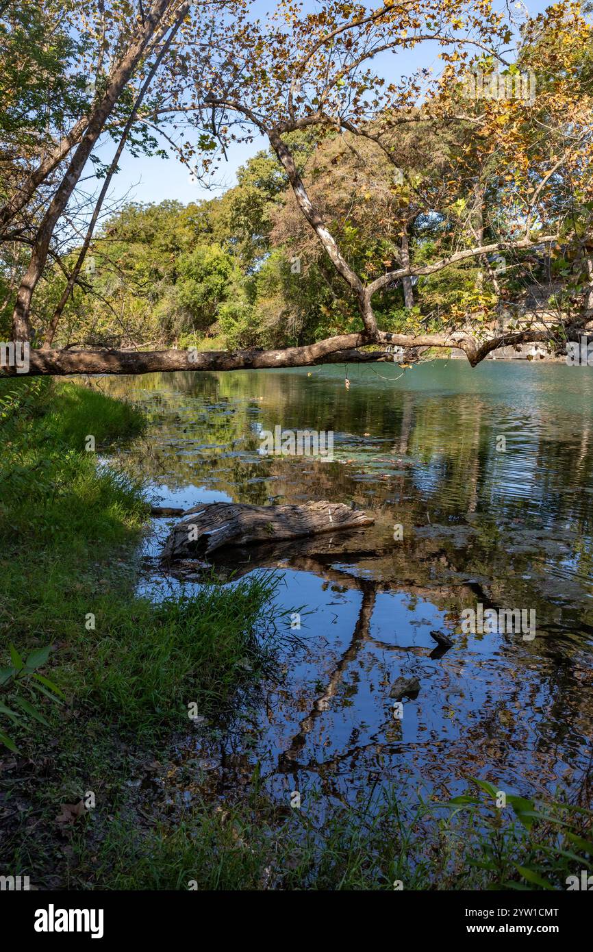 Trees around Guadalupe river, Canyon lake, Texas, USA Stock Photo - Alamy