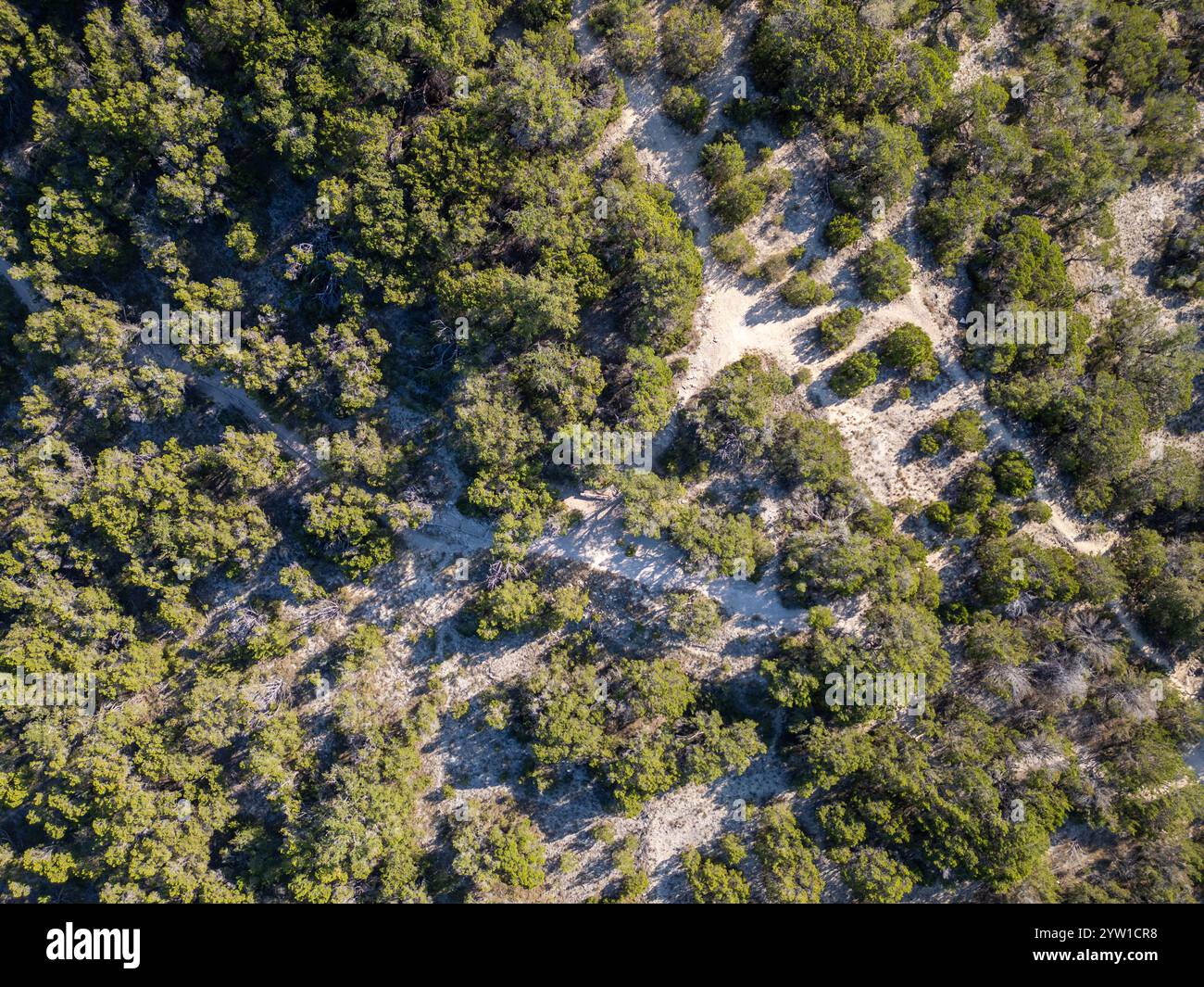 Aerial view of River Place Nature Trail, Austin, Texas, USA Stock Photo ...