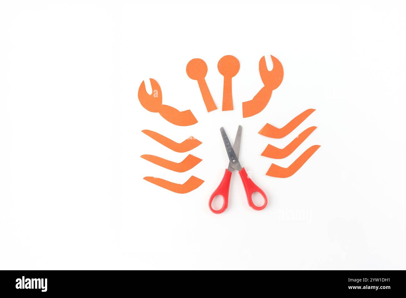 step in creative process, an arrangement of orange paper cutouts on a ...