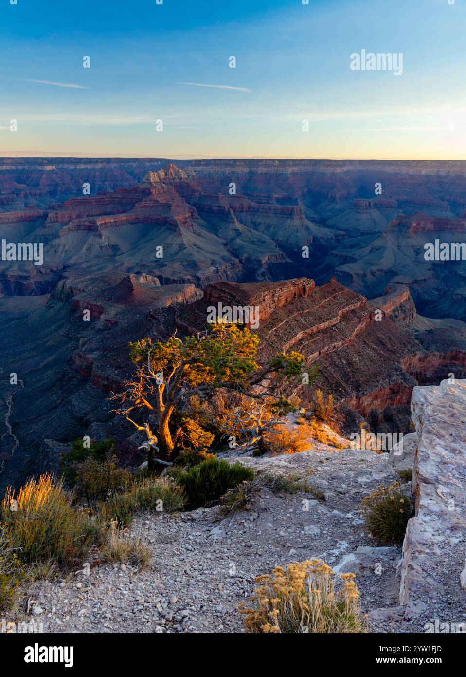 Sunrise over the Grand Canyon from Shoshone Point; Grand Canyon National Park, Tusayan, Arizona ...
