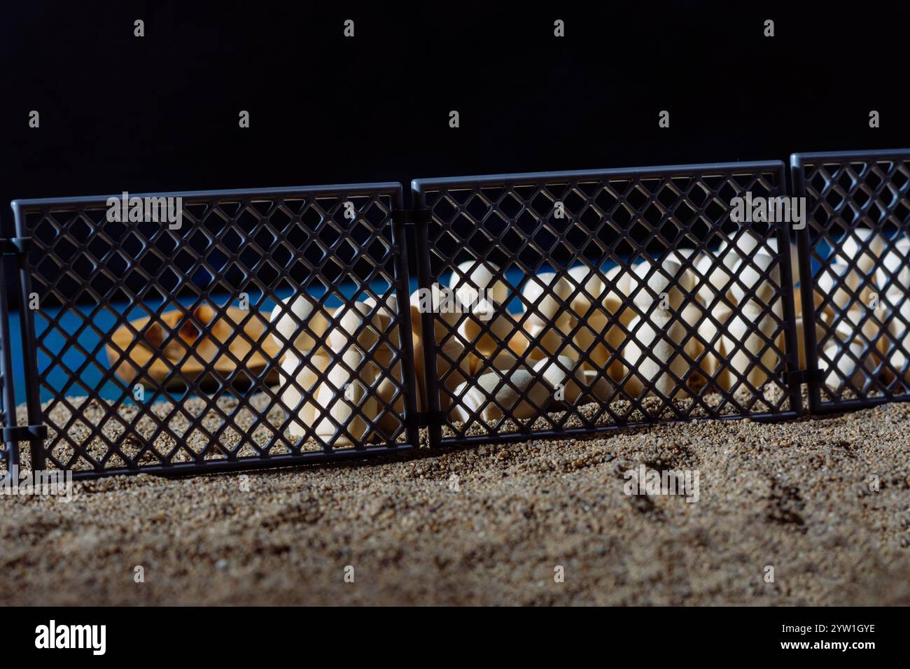 Symbolic Representation of Migration: Figures Enclosed by a Fence Stock ...