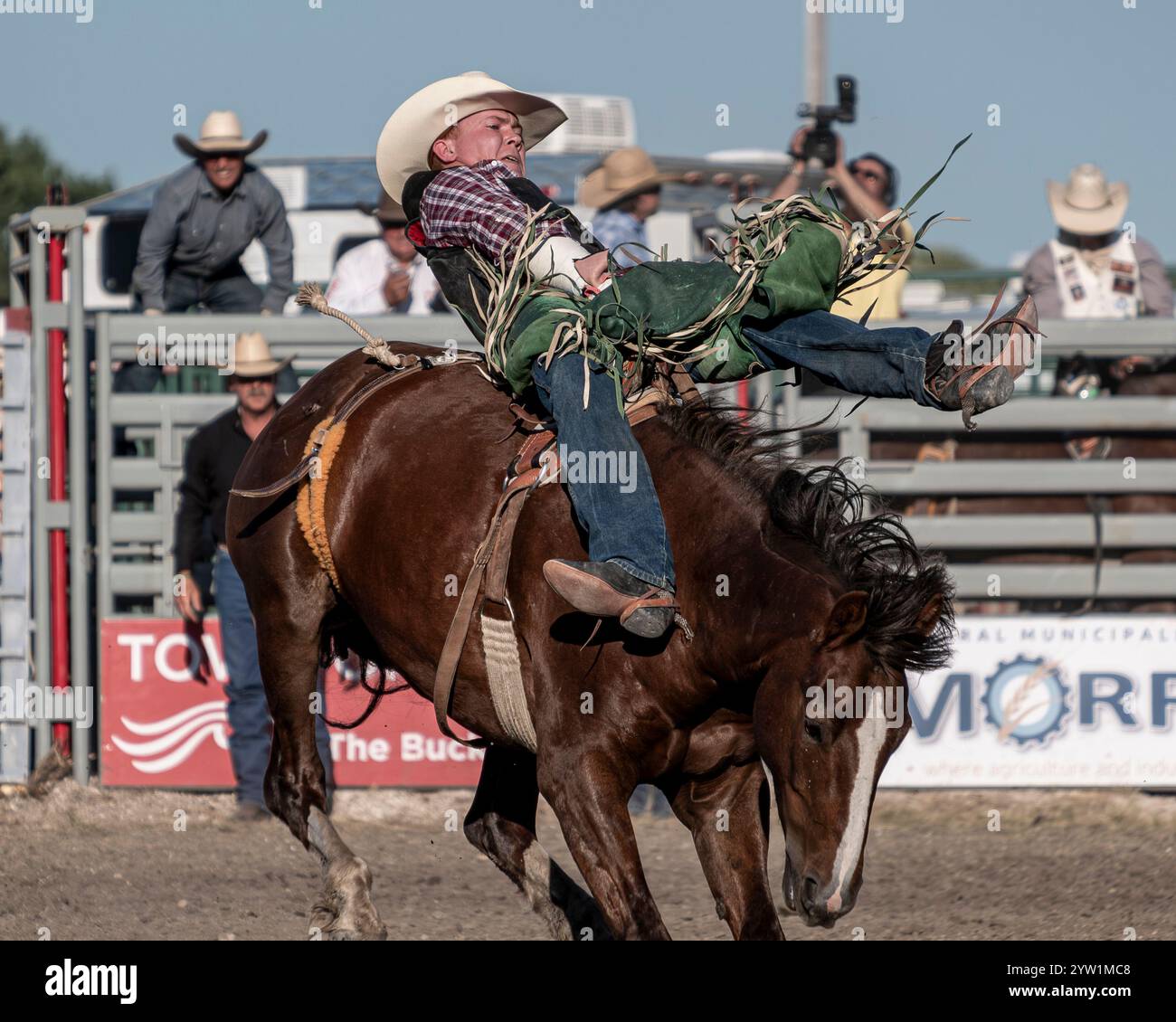 Bronco riding hi-res stock photography and images - Alamy