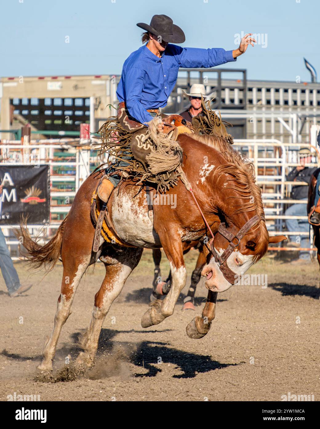 Bronco riding hi-res stock photography and images - Alamy