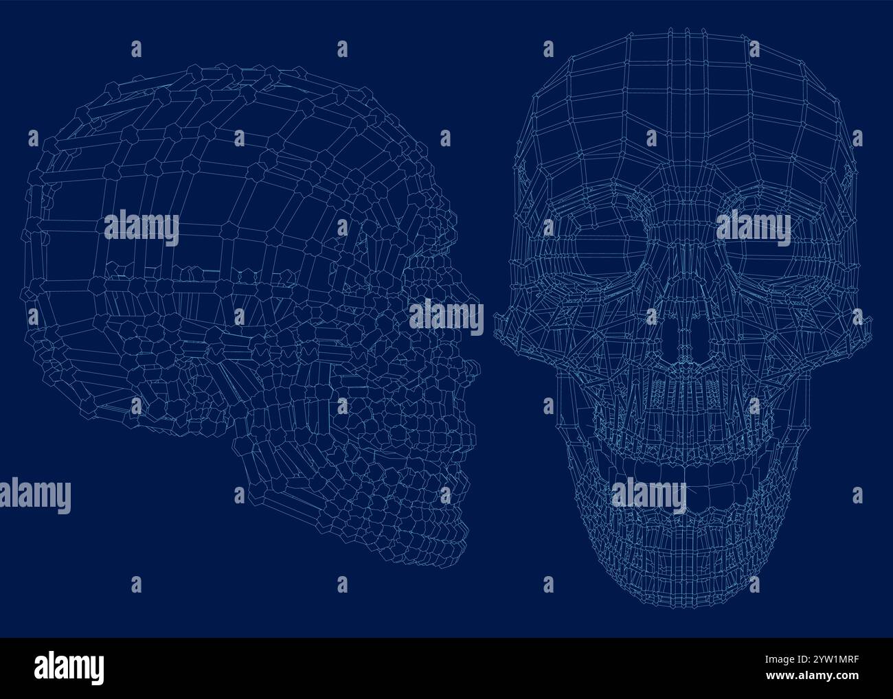 Blue skull with line on abstract background. Wireframe space low poly ...