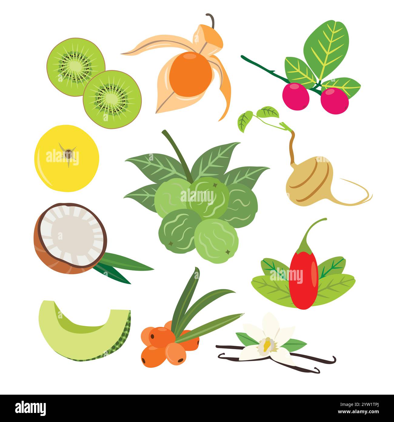 Colorful Assortment of Unique Fruits Stock Vector Image & Art - Alamy