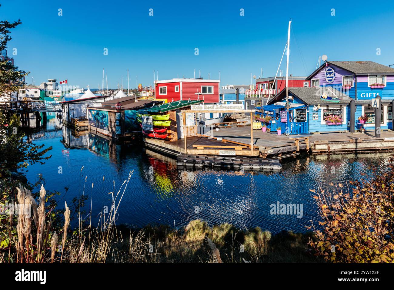 A group of colorful houses are docked in a harbor. The houses are ...