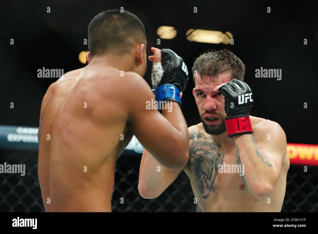 LAS VEGAS, NV -DECEMBER 7:Cody Durden and Joshua Van meet in the ...
