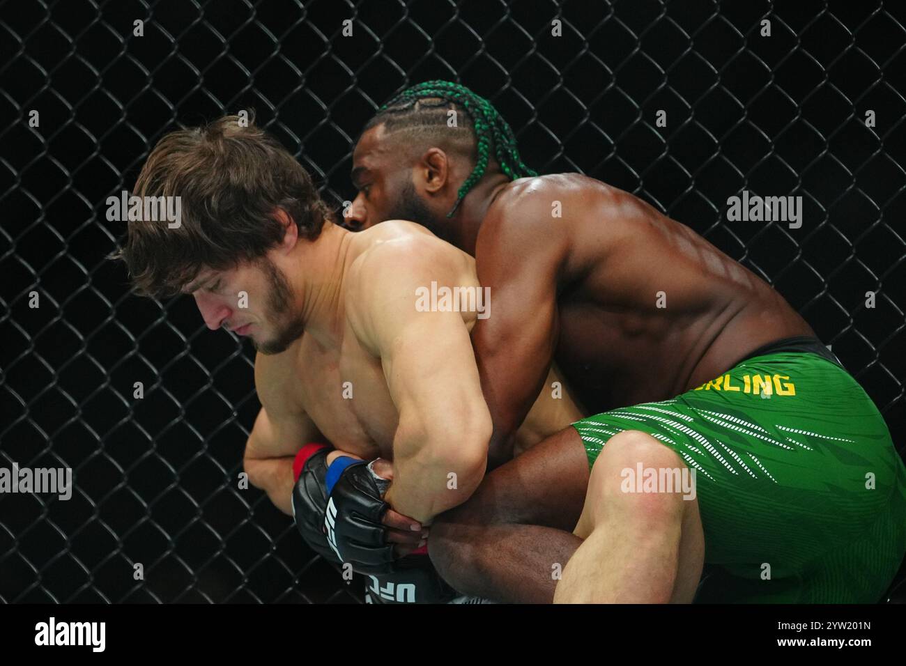 LAS VEGAS, NV -DECEMBER 7:Movsar Evloev and Aljamain Sterling meet in ...