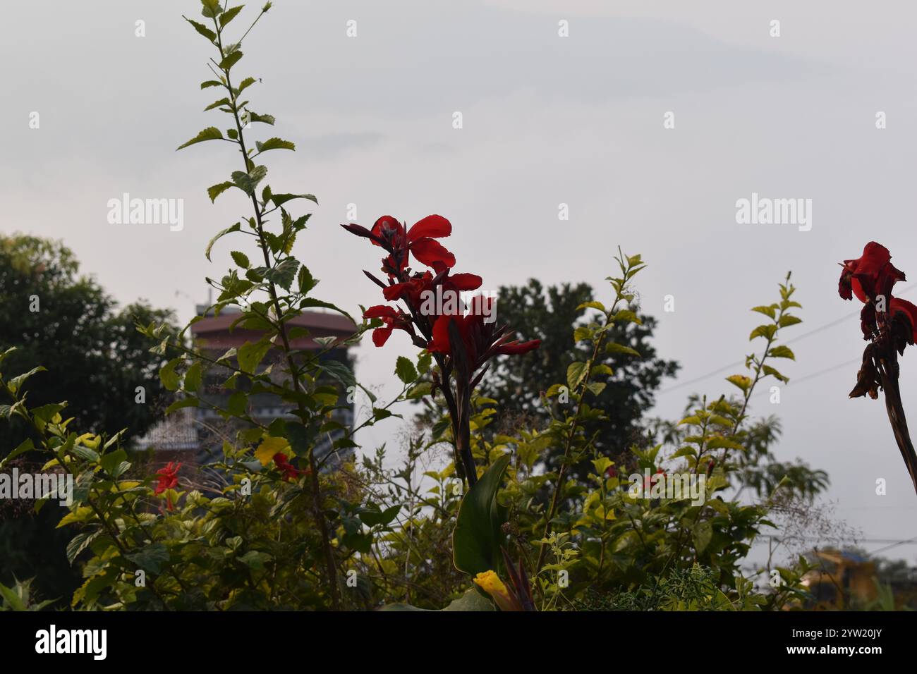 Are you looking for a unique and off-the-beaten-path adventure in Nepal ...