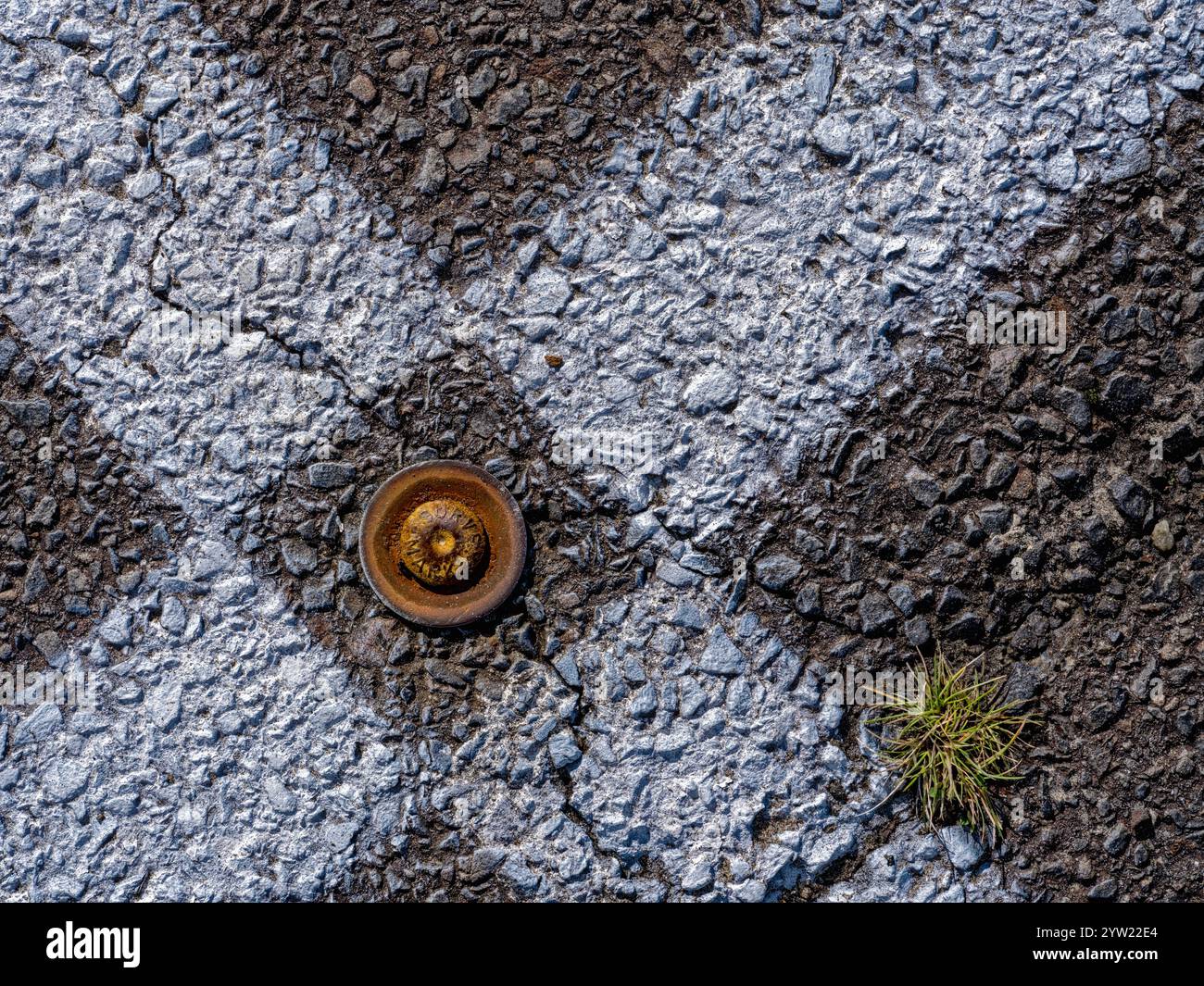 A metal survey marker is embedded in asphalt between intersecting white ...