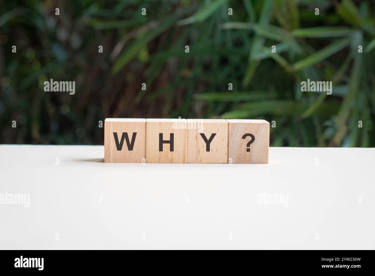 Why, word written on square wood block, on top of white table with palm ...