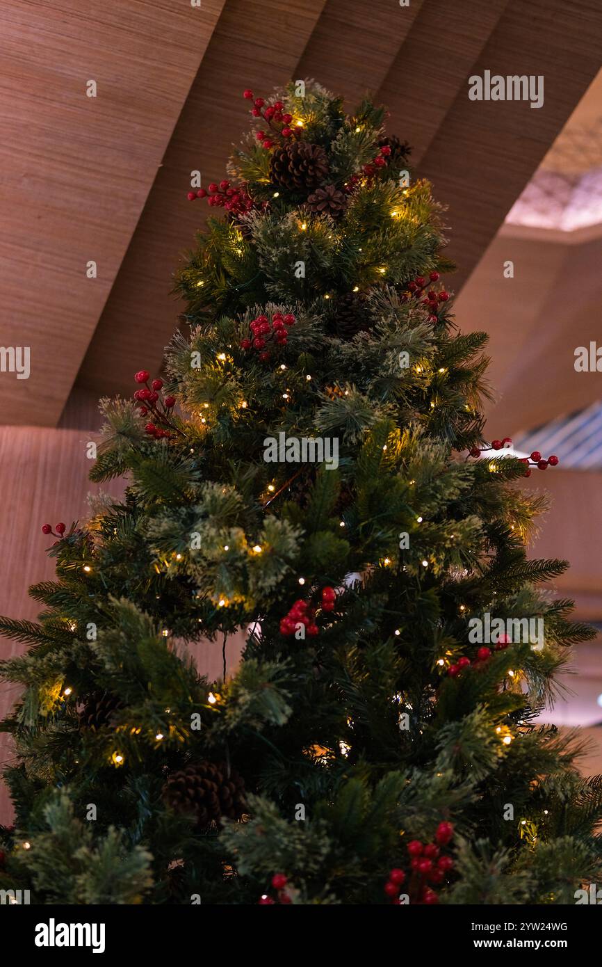 Bottom view big tree hi-res stock photography and images - Alamy