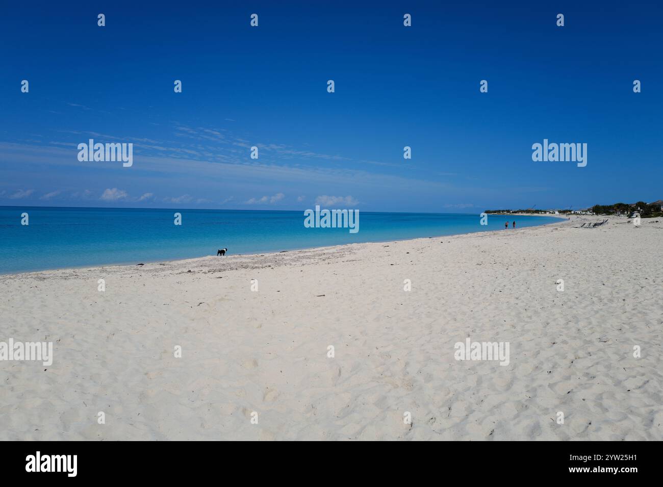 Along the Queen's Highway in Alice Town, Bimini in the Bahamas - famous ...