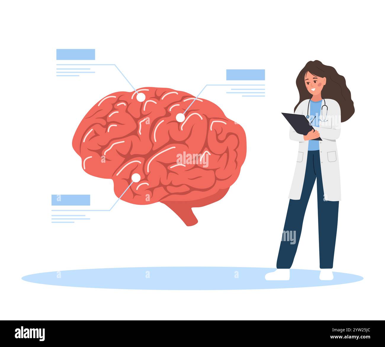 Neurologist concept. Female doctor examine human brain. Anatomy and ...
