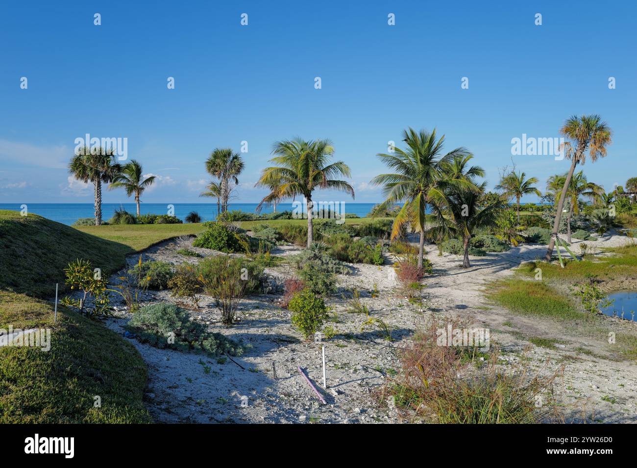 Along the Queen's Highway in Alice Town, Bimini in the Bahamas - famous ...