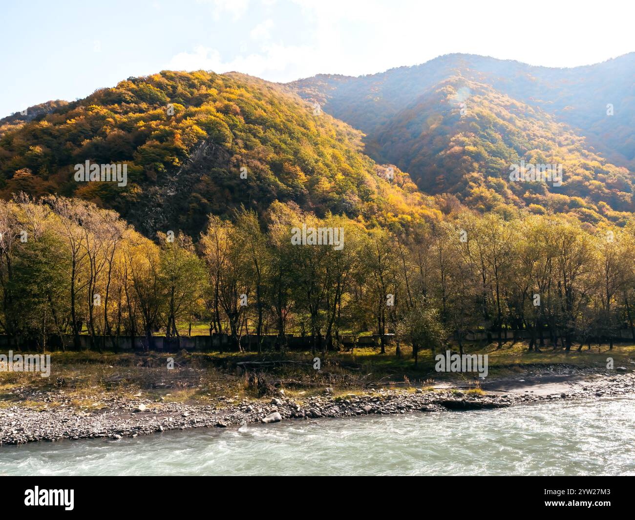 Scene of flowing water stream near trees on the hills and mountains ...
