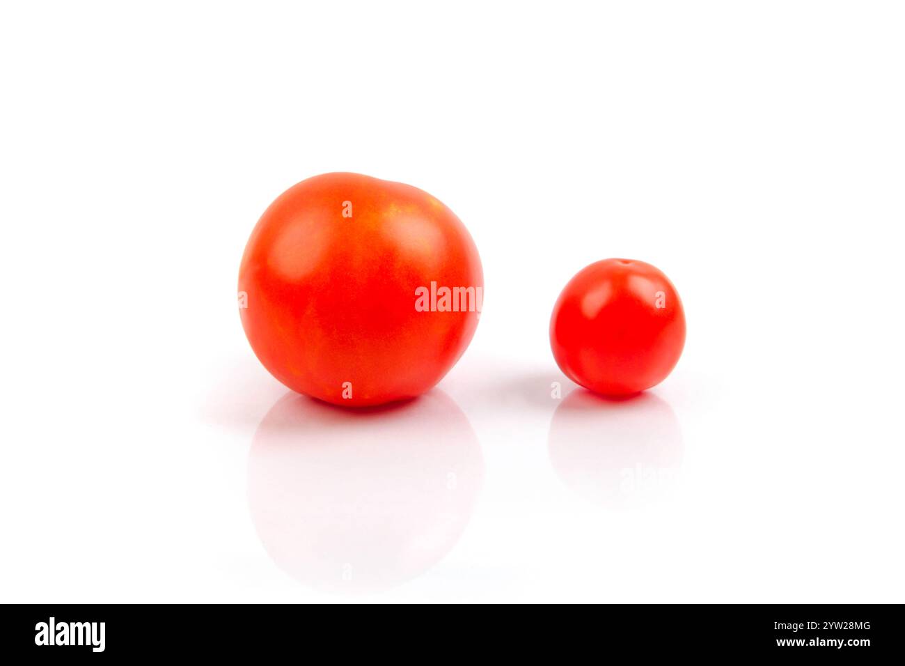 small and big tomato isolated on the white background Stock Photo - Alamy