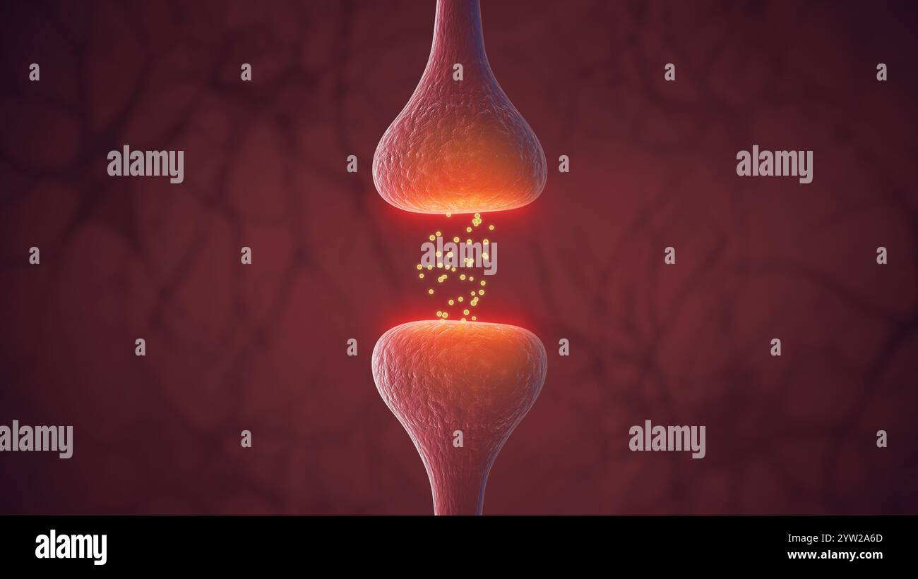 Synaptic Activity Supporting Neuronal Pathway Signal Transmission Stock ... Synaptic Activity Supporting Neuronal Pathway Signal Transmission Stock ...