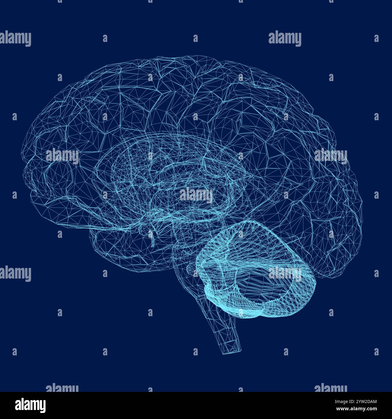 Vector illustration of wireframe human brain from blue lines. 3D Stock ...