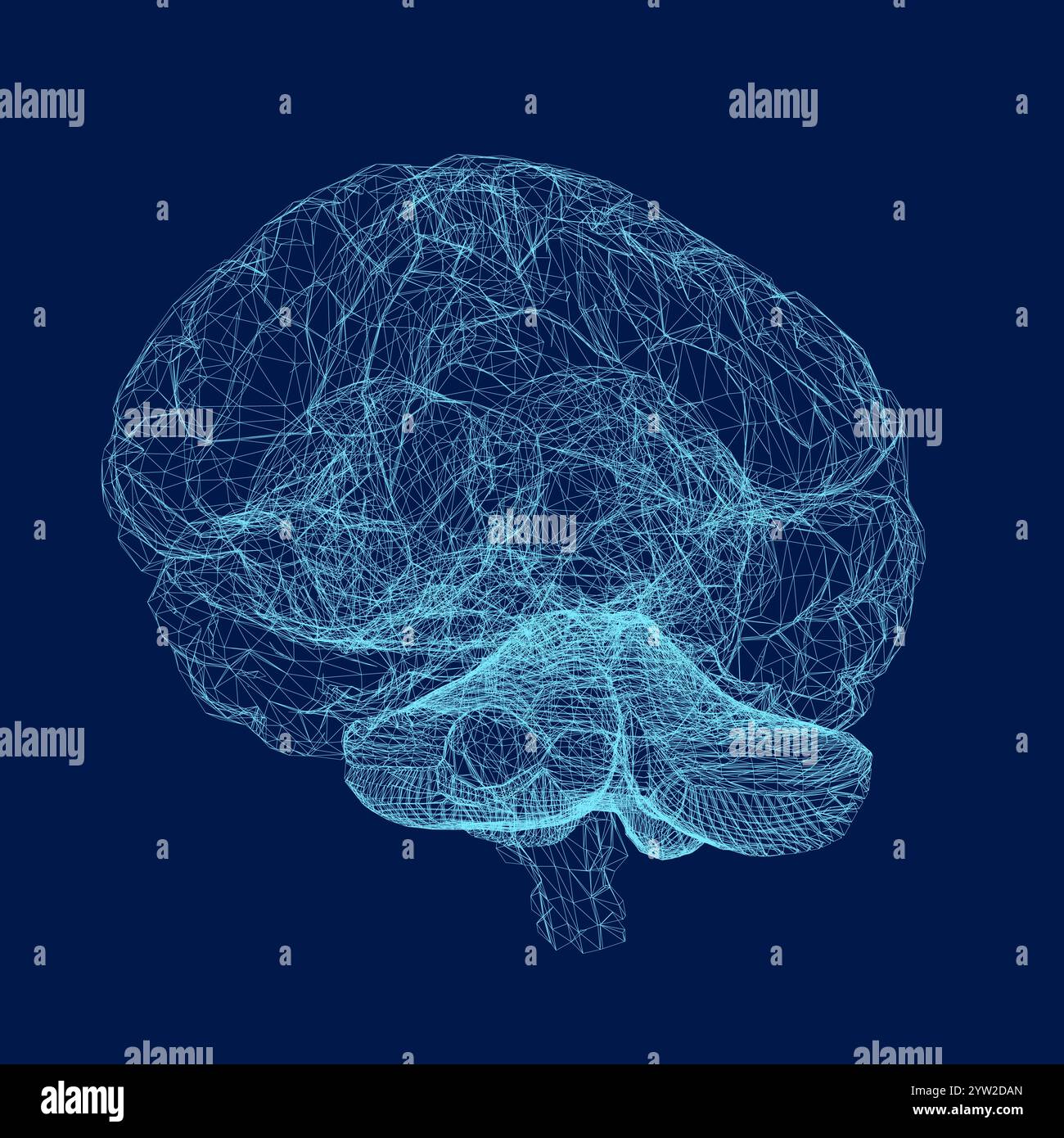 Vector illustration of wireframe human brain from blue lines. 3D Stock ...