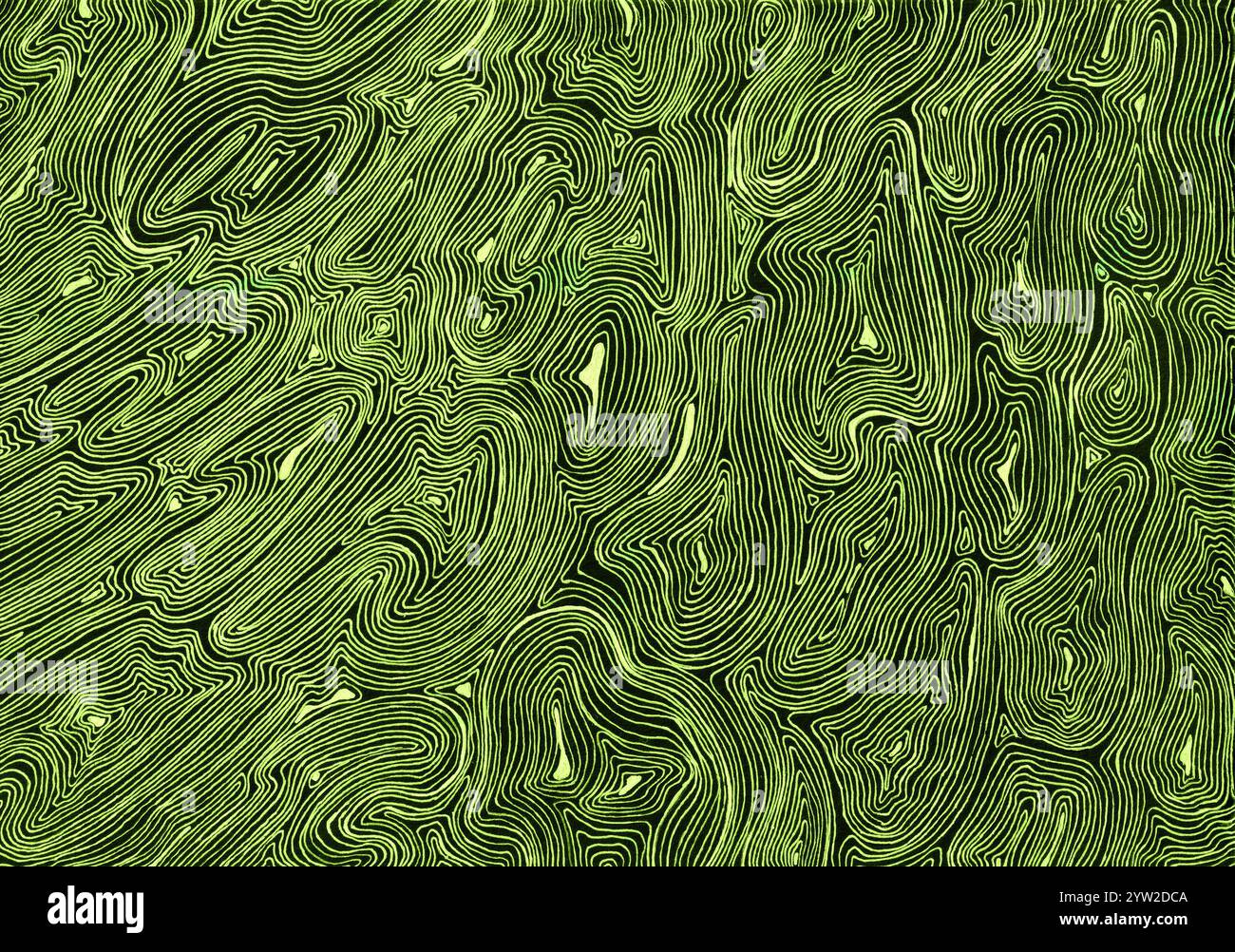 Texture background. Thin, curved yellow green lines that flow smoothly ...